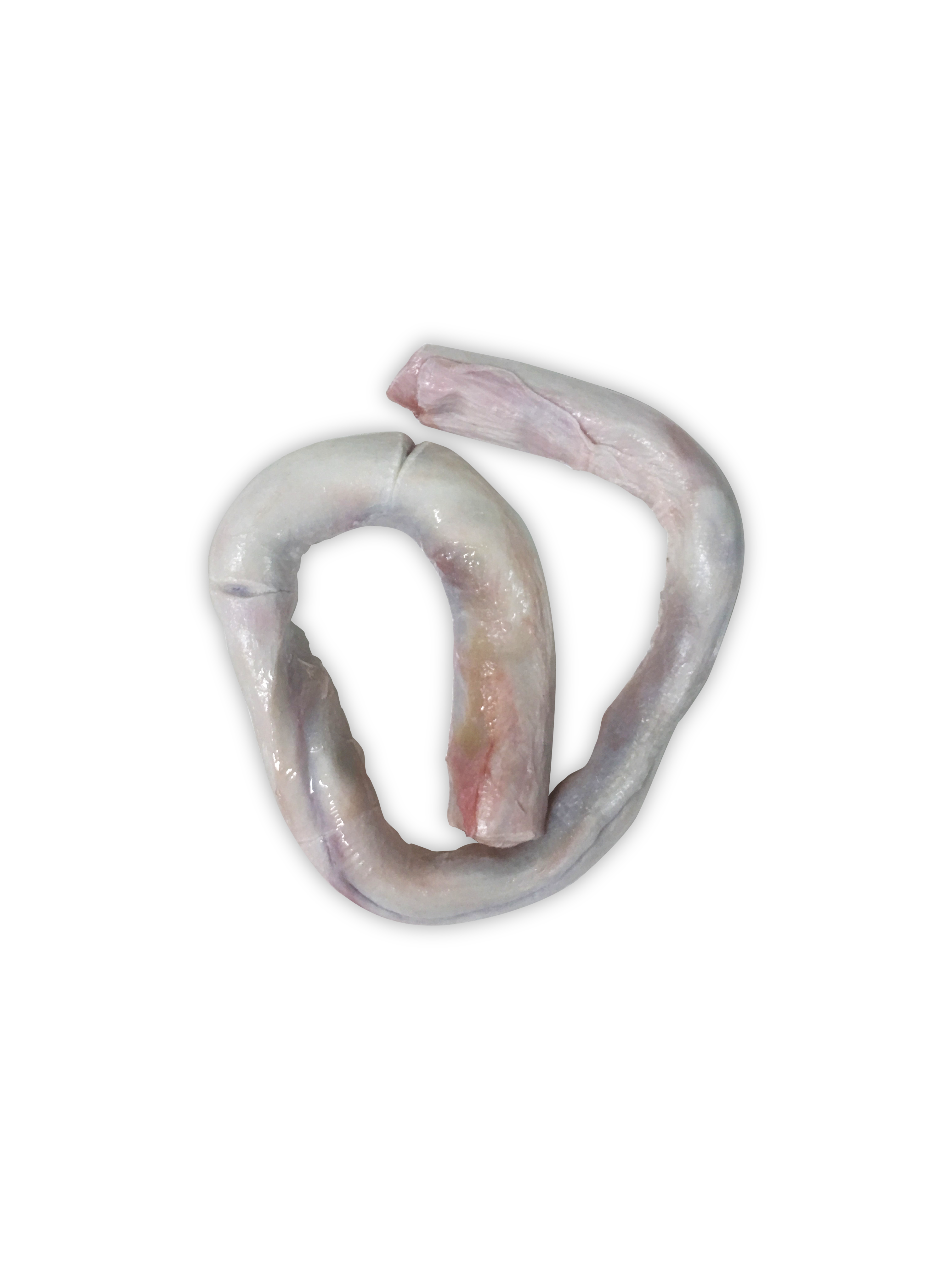 Bull Pizzle (1kg) – Meat For Pets