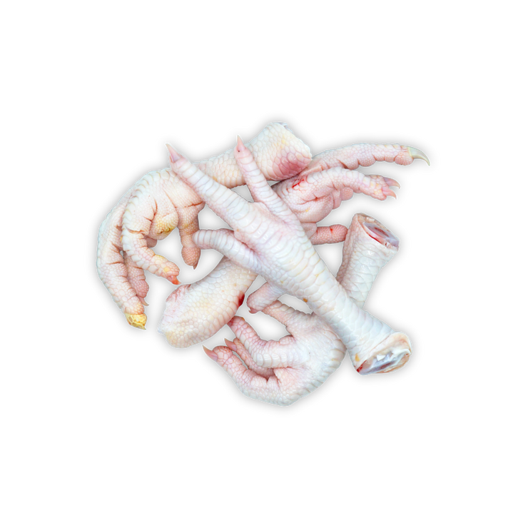 Chicken & Duck – MFP